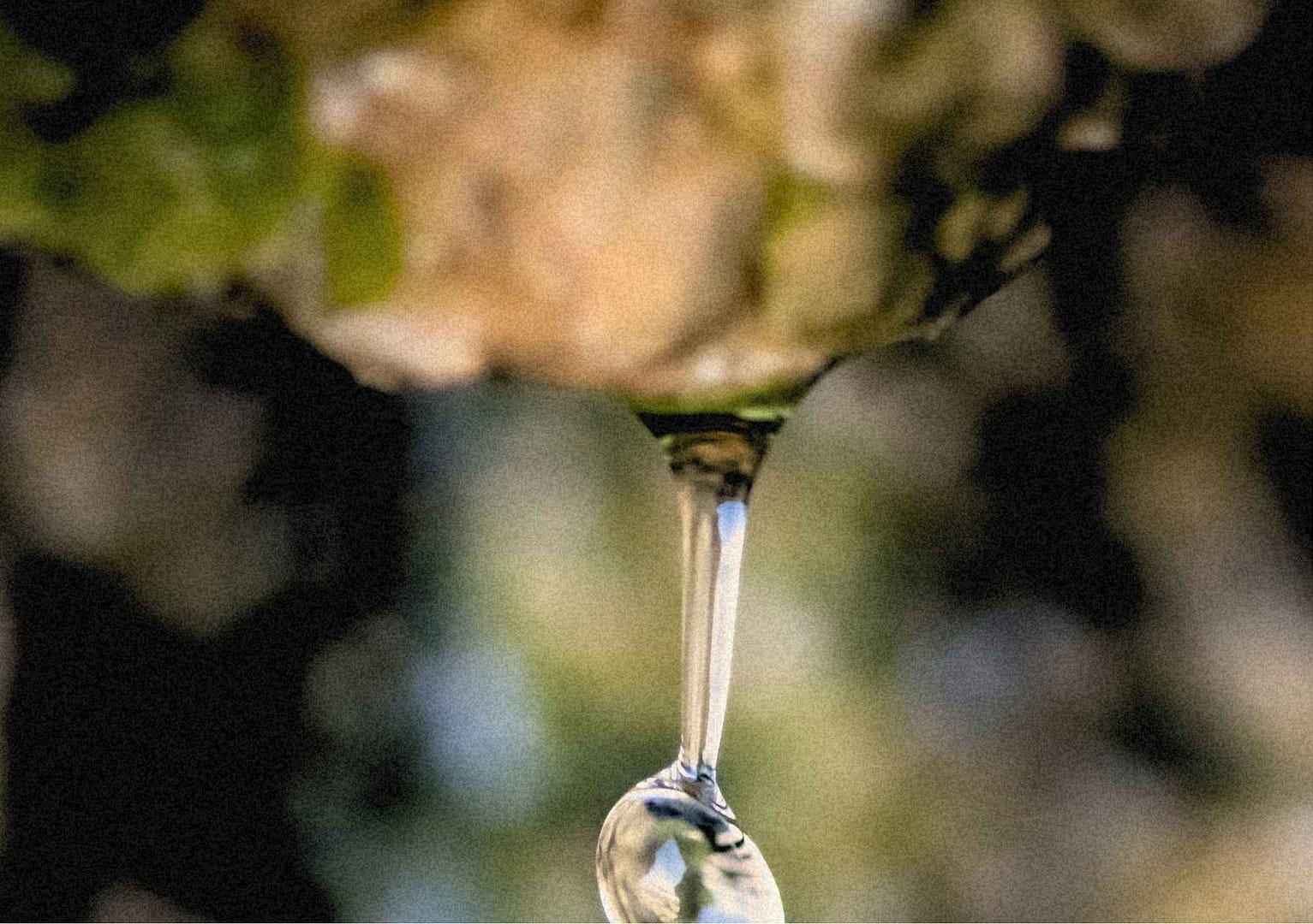 Mastic vs Retinol: The Collagen Solution for Sensitive Skin